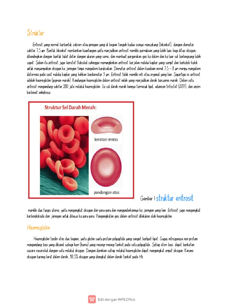 Struktur Eritrosit Abnormal Berkukrama | PDF