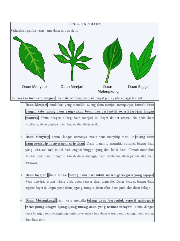 Ipas Bagian Daun Bunga | PDF