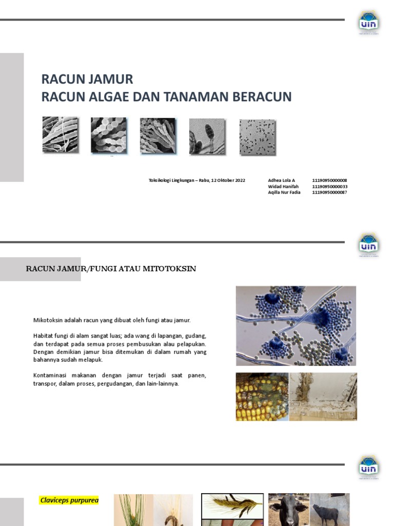 Tokling Kel.1 - Racun Jamur Dan Algae | PDF