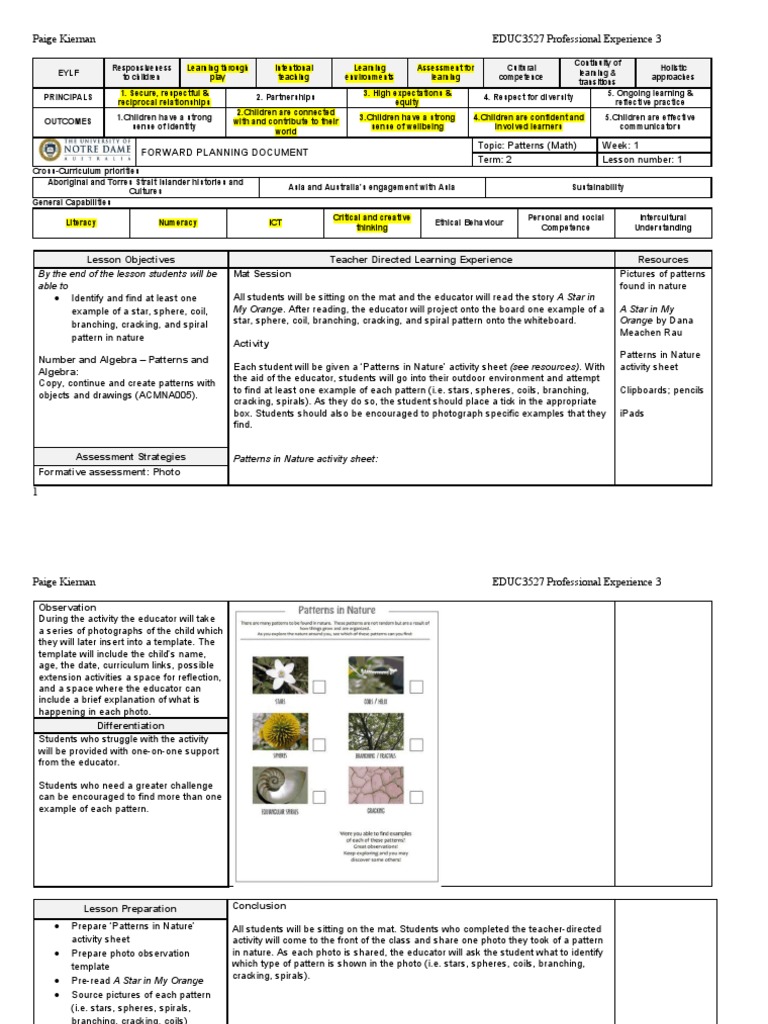 Ecec FPD | PDF | Teachers | Learning