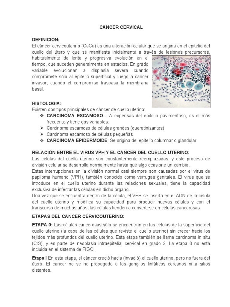 Proceso Ca de Cervix | PDF | Cáncer de cuello uterino | Cáncer
