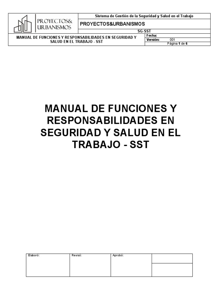 Manual de Funciones y Responsabilidades | PDF | Business