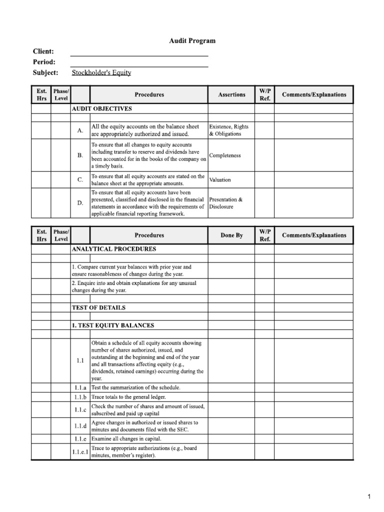 Visco Audit Program | PDF