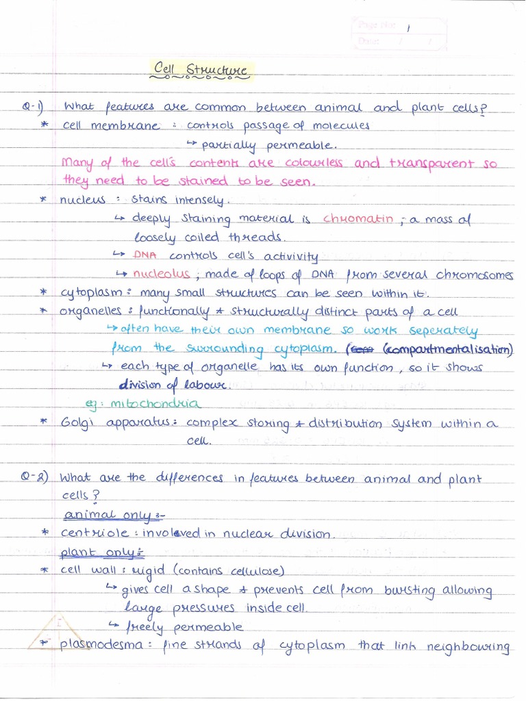 Saoud - AS LEVEL BIOLOGY NOTES | PDF