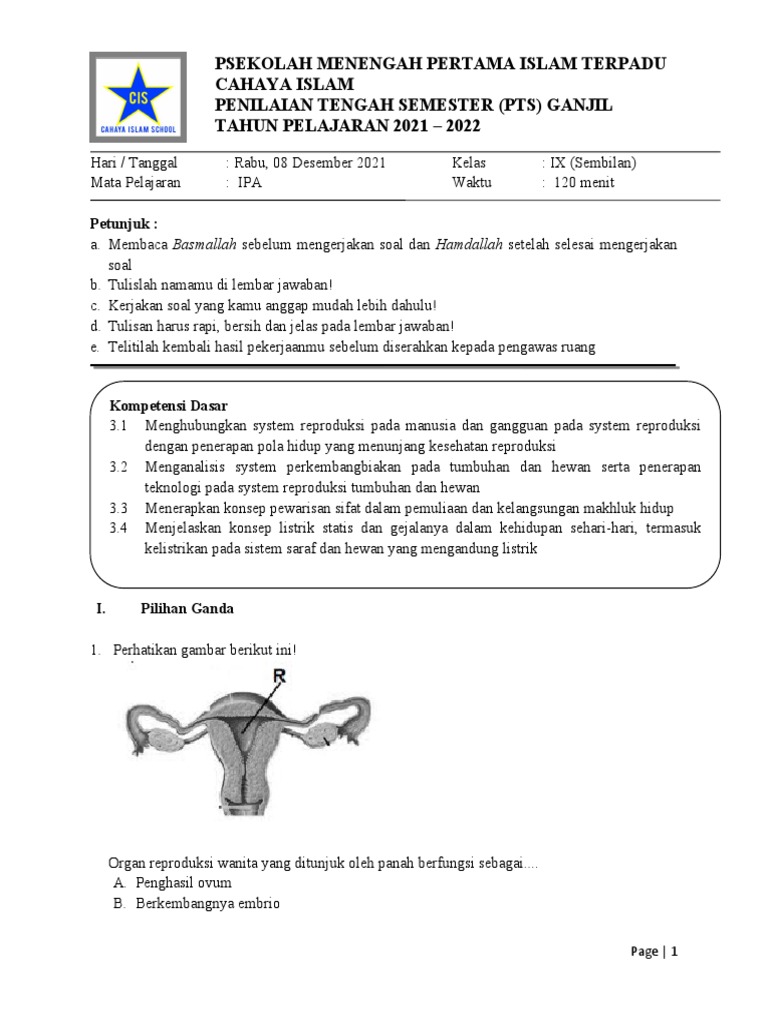 Soal Pas Ipa 9 | PDF