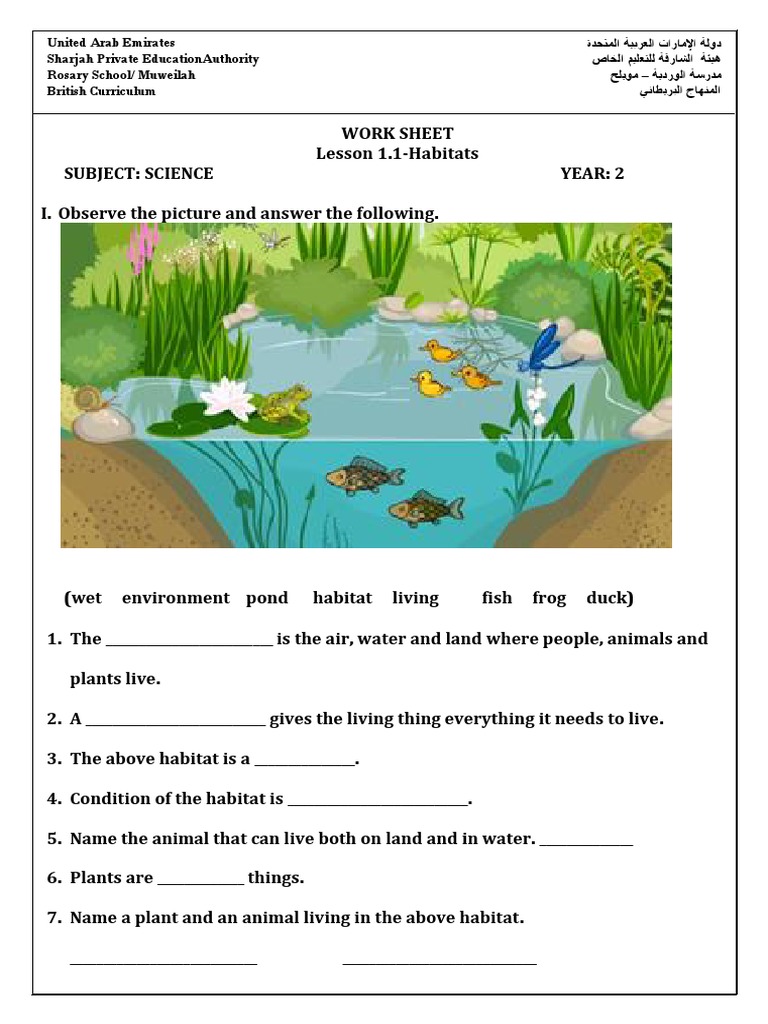British Curriculum Worksheet on Habitats | PDF | Habitat | Plants