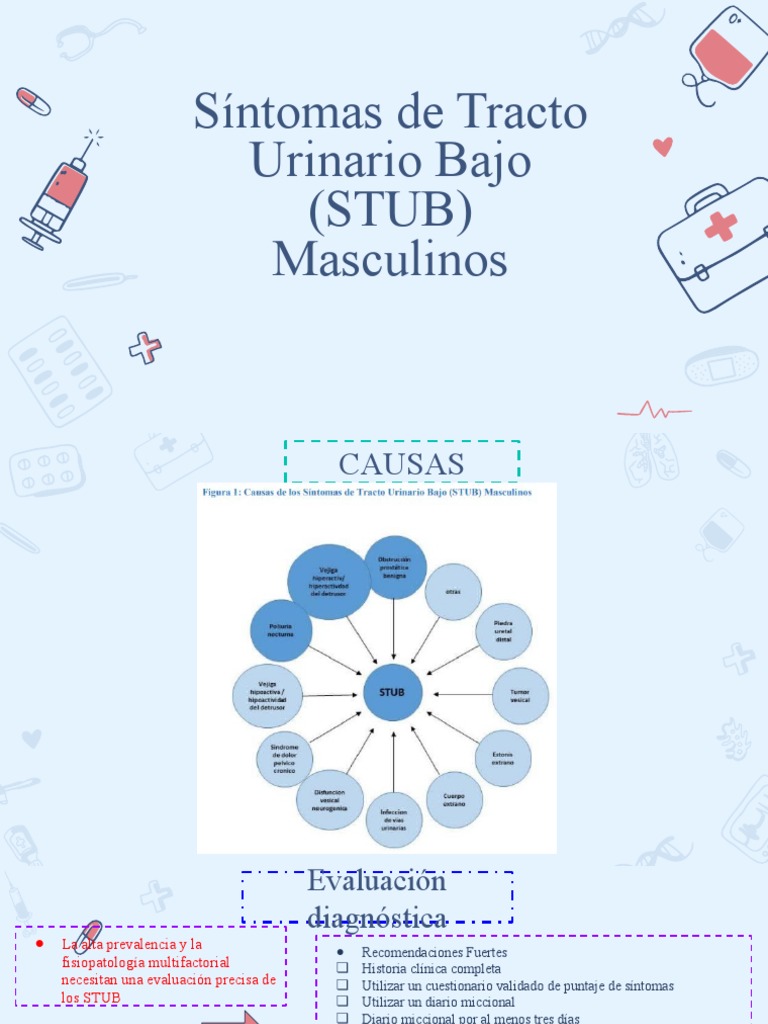Evaluación y Manejo de STUB Masculinos | PDF | Cancer de prostata | Vejiga urinaria