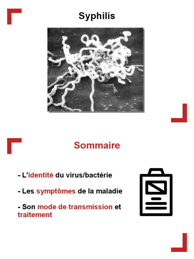 Syphilis Diapo SVT | PDF | Médecine | Médecine clinique