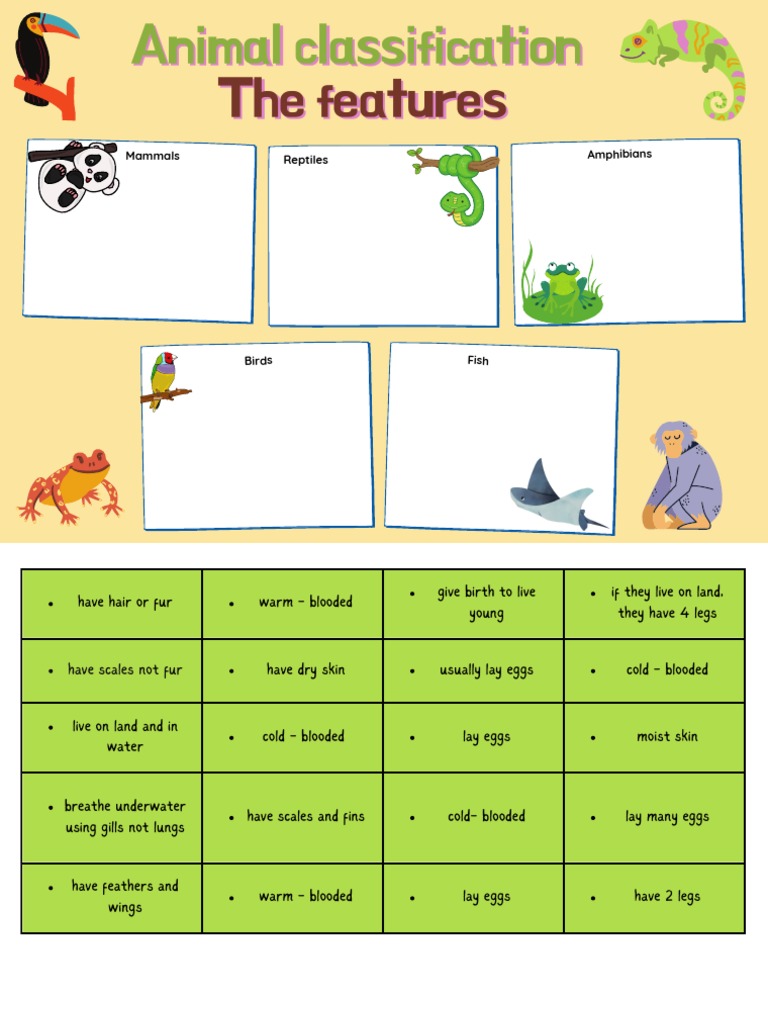 Animal Features Worksheet | PDF | Home & Garden