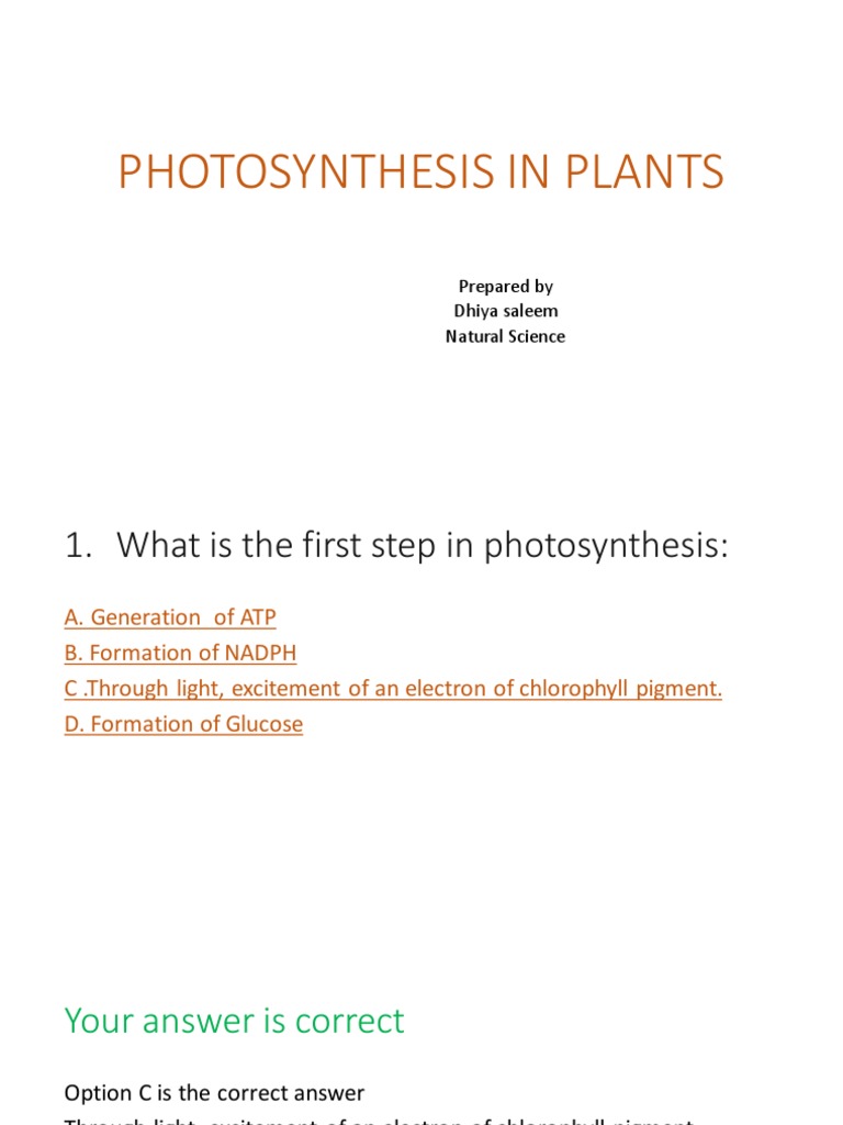 Photosynthesis in Plants | PDF | Science & Mathematics