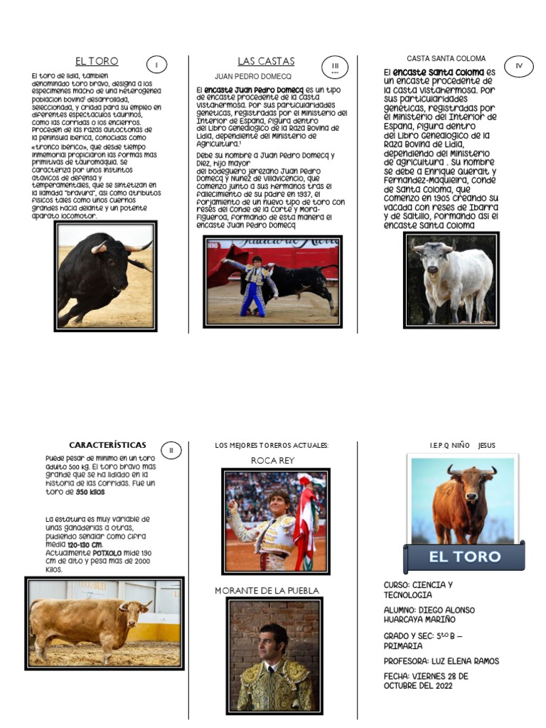 Características del toro para niños | PDF | Crueldad hacia los animales ...