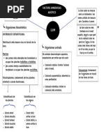 Mapa Conceptual | PDF