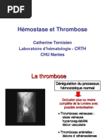 Temps de Céphaline Activée : Guide Complet | PDF | Hématologie ...