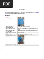 T168 Burn Test Chart | PDF | Rayon | Textiles