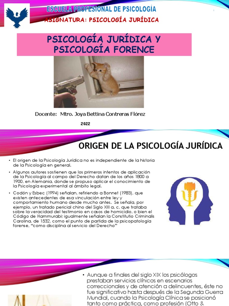 Psicologia Jurídica y Forense 2022 | PDF | Sicología | Victimologia