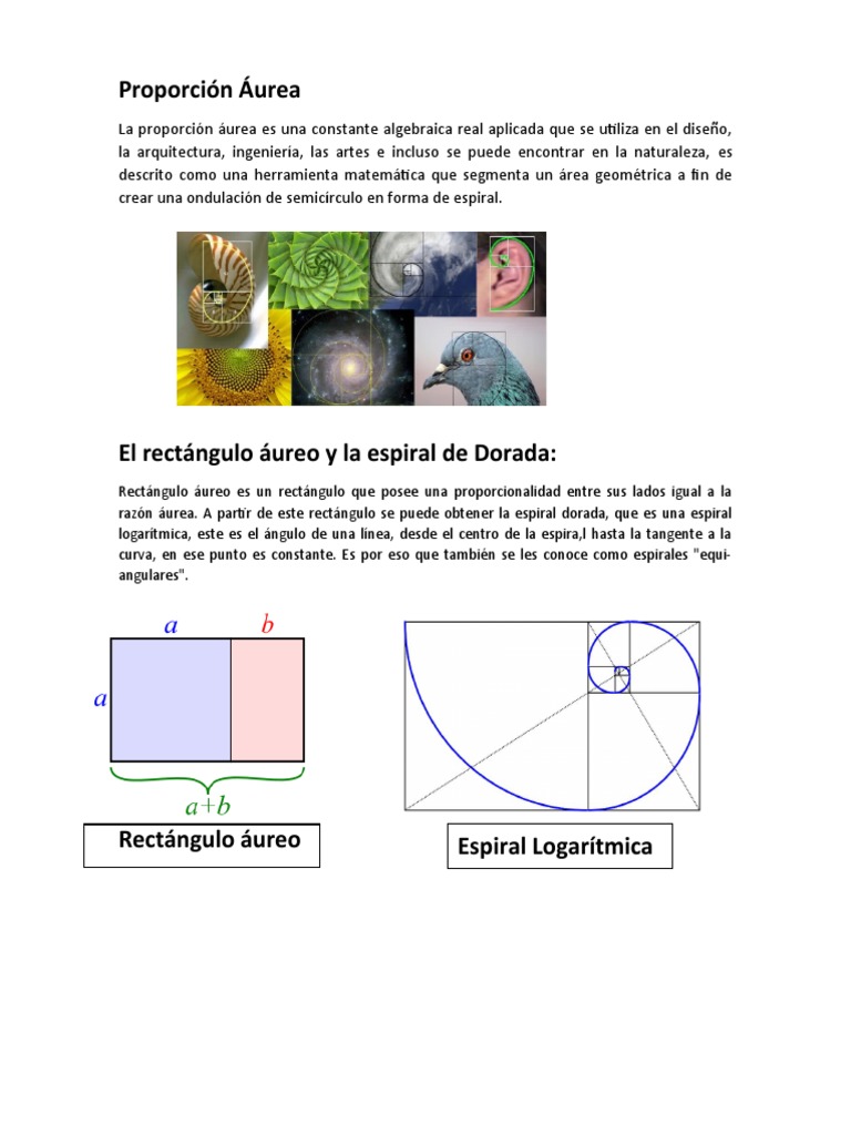 Proporción Áurea | PDF