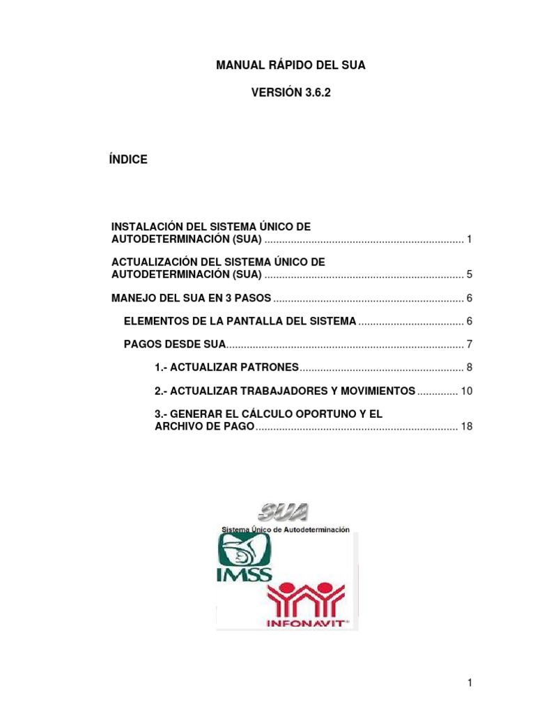 Guia Rapida SUA 360 | PDF | Archivo de computadora | Ventana (informática)