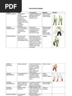 Tipos de Marcha | PDF | Sistema musculoesquelético | Enfermedades y ...