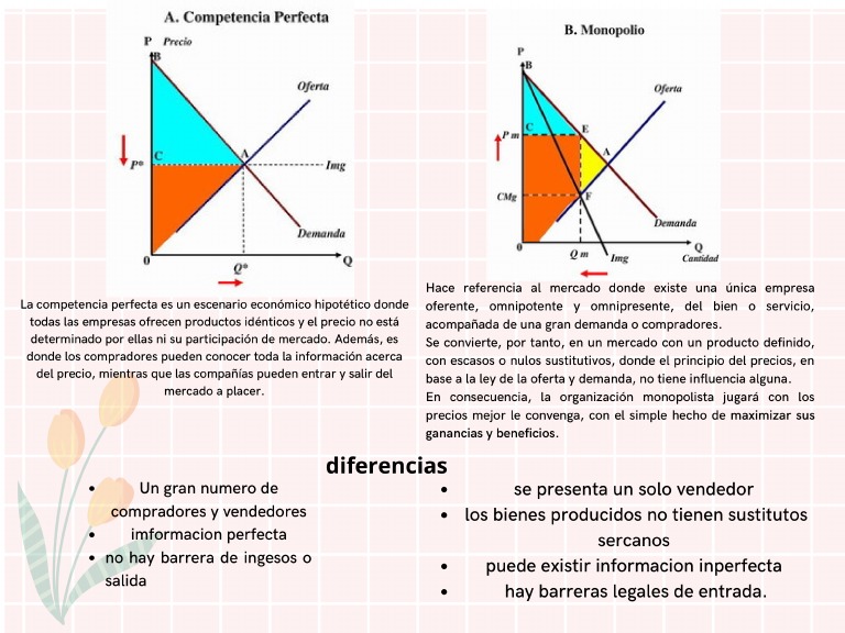 Gráfico Sobre La Competencia Perfecta y El Monopolio, y Sustenta ...