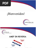 CQI-08 Auditoria Por Niveles - Capas Noviembre 2019 Presentacion | PDF ...