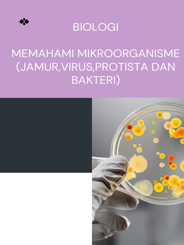 Mikroorganisme (Virus, Bakteri, Jamur Dan | PDF