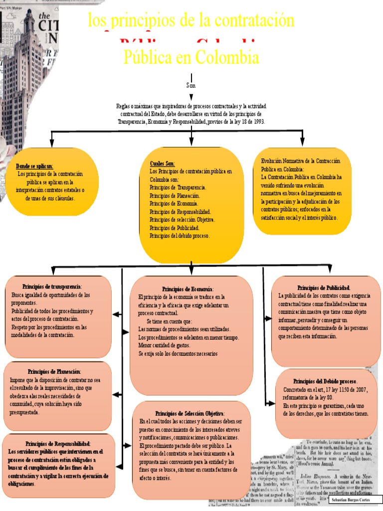 Mapa Conceptual de Los Principios de La Contratacion Publica en Colombia | PDF | Debido al ...