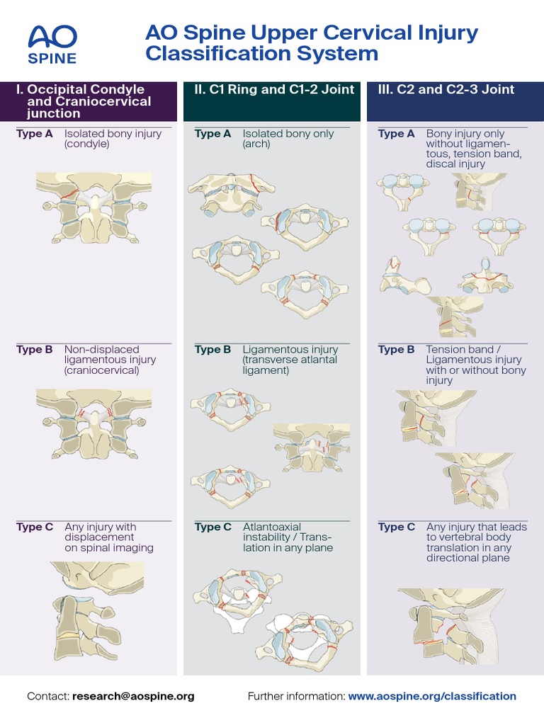 AOS Injury Classification Pocket Card UPPERCERVICAL | PDF | Vertebral ...