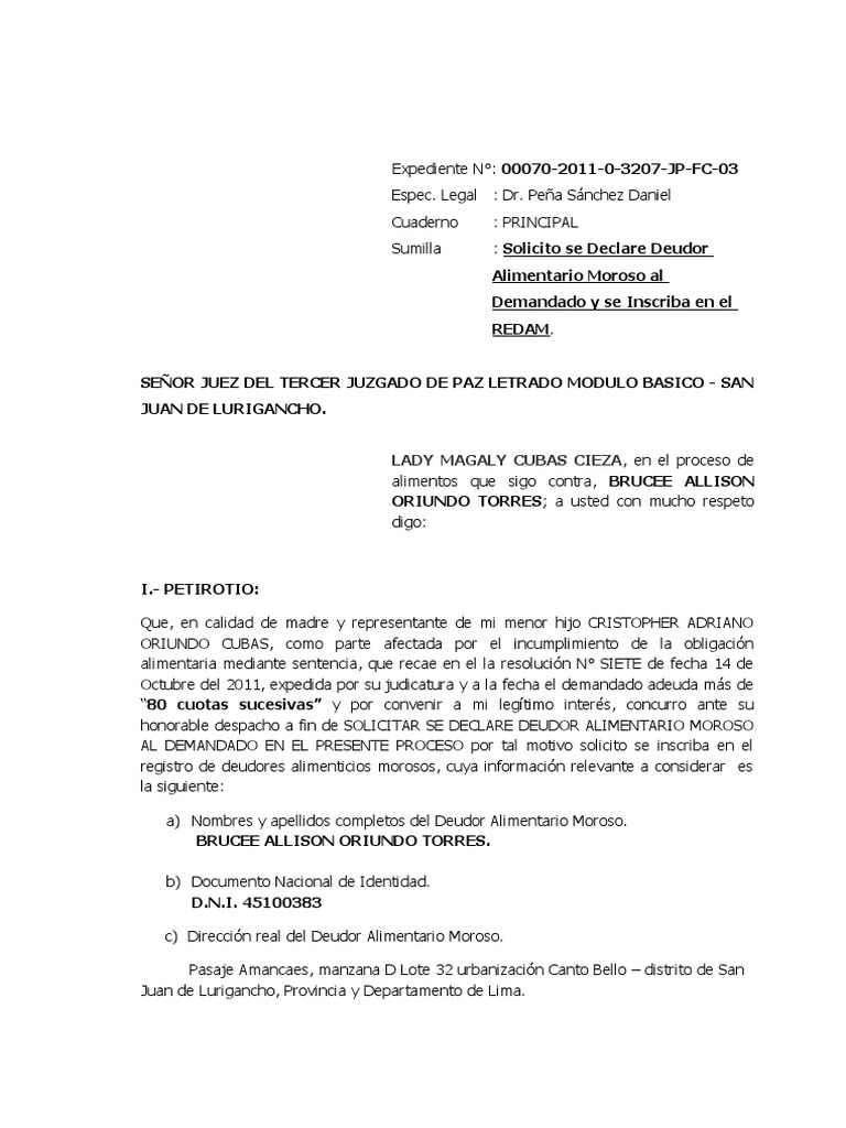 Solicito Se Declare Deudor Alimentario Moroso Al Demand | PDF ...