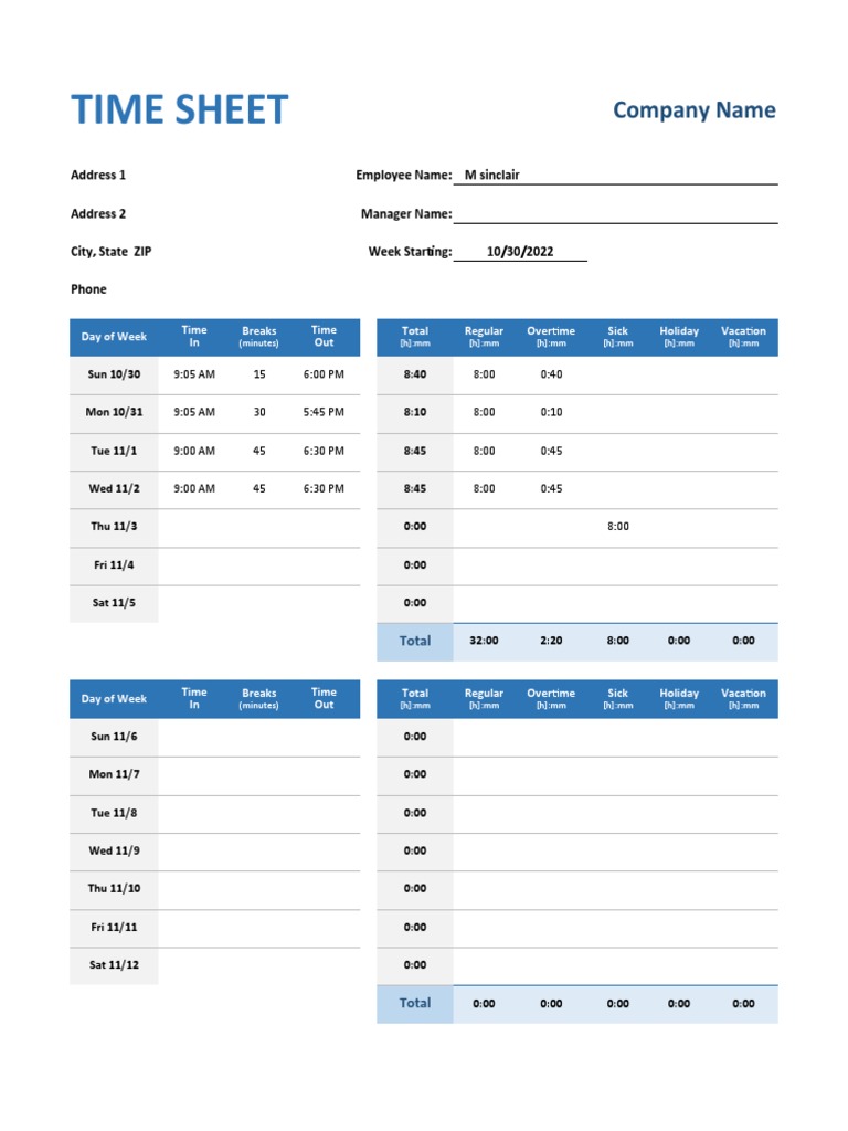 Time Sheet: Company Name | PDF | Spreadsheet | Worksheet