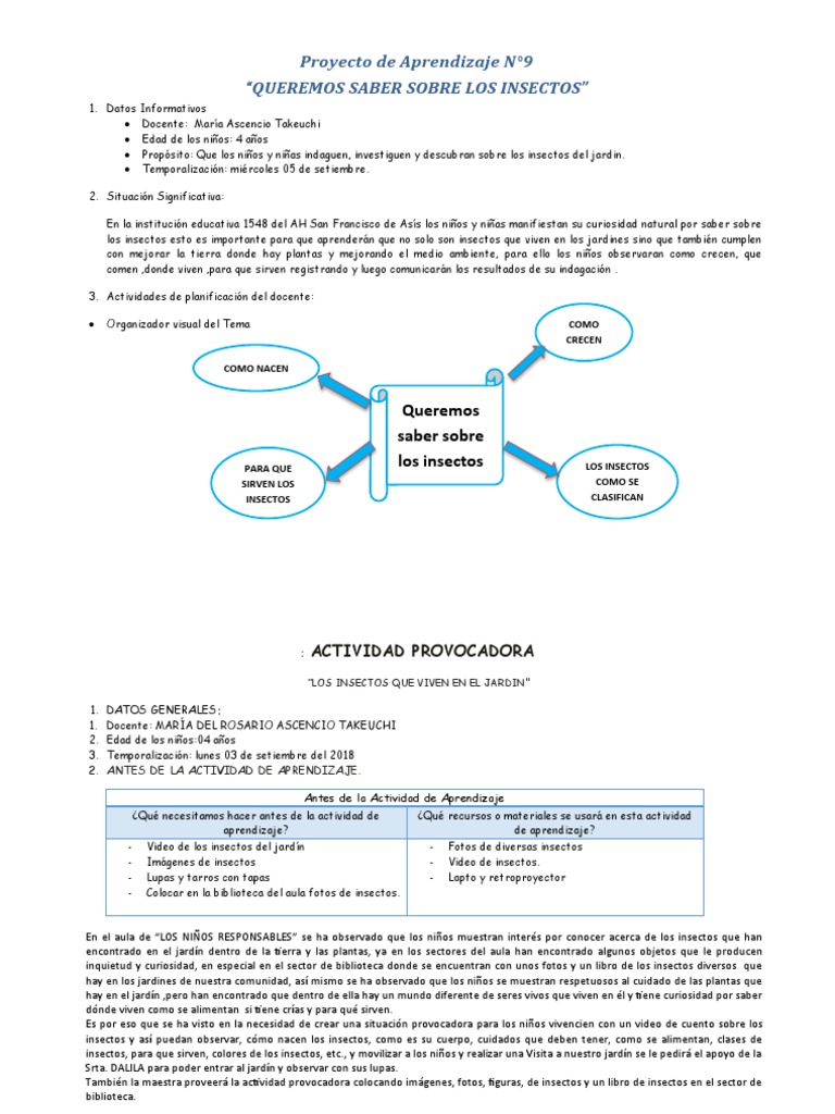 PROyECTO INSECTOS | PDF | Cuentos | Aprendizaje