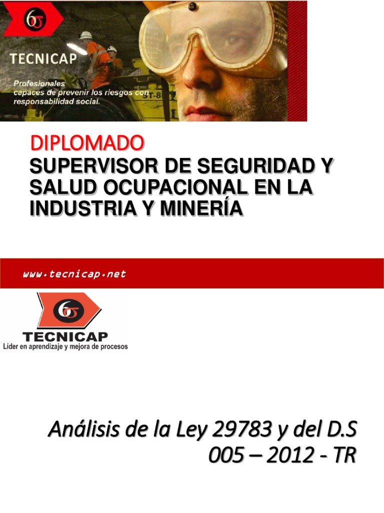 Módulo 1 - Ley 29783 y DS 005-2012-TR | PDF | Planificación | Valores
