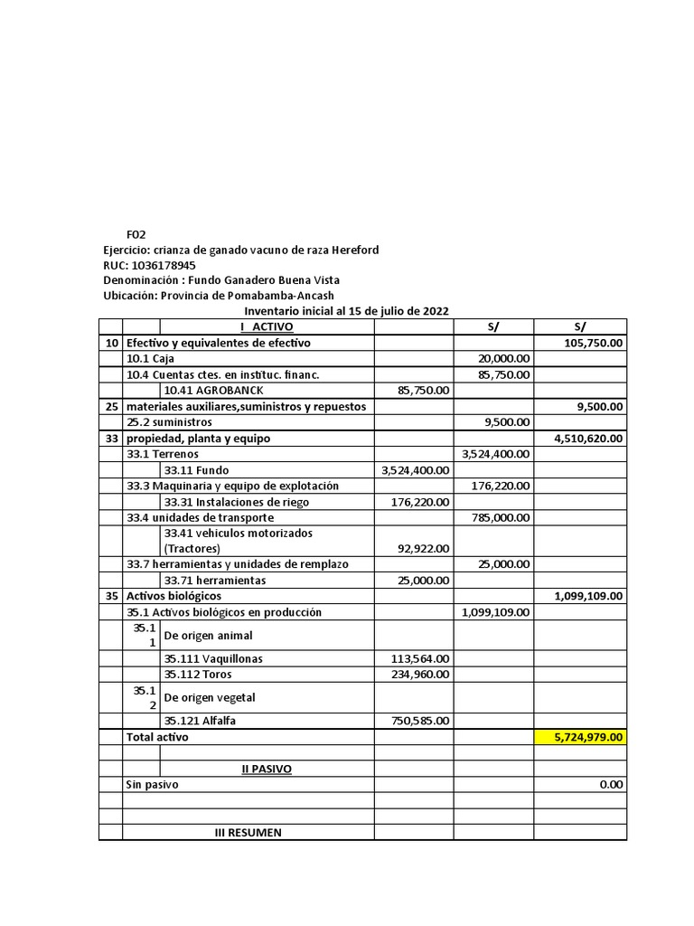 Practica de Inventario Inicial y Balance de Inventario Inicial ...