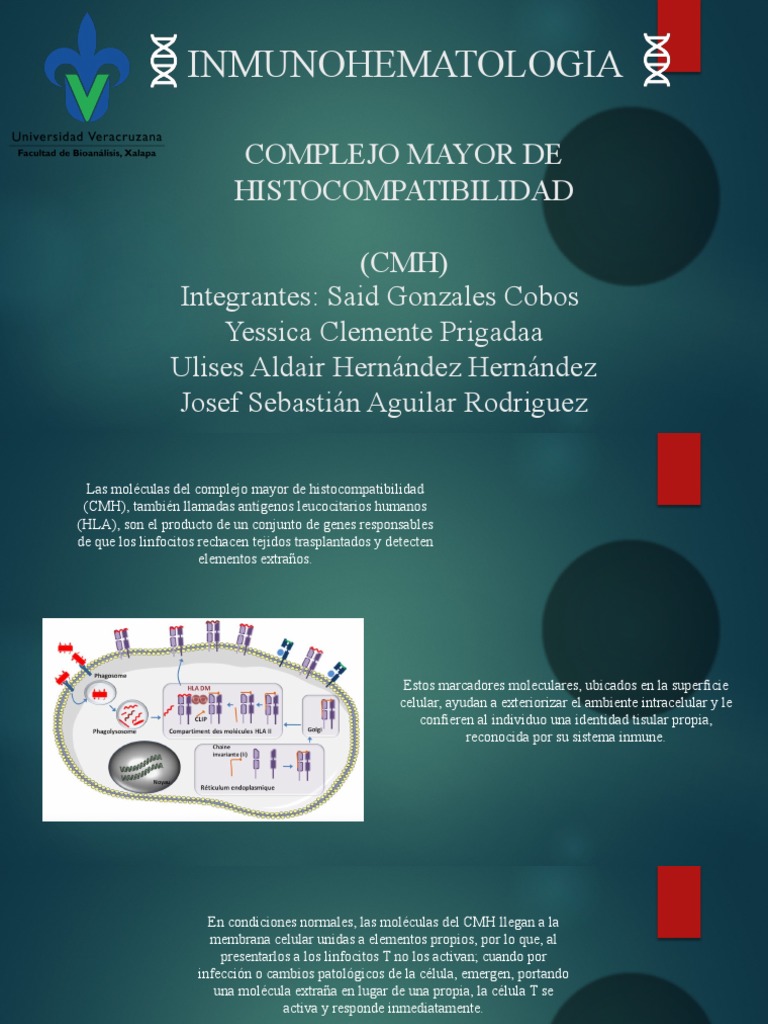 El complejo mayor de histocompatibilidad (CMH): estructura, tipos de moléculas, expresión e ...