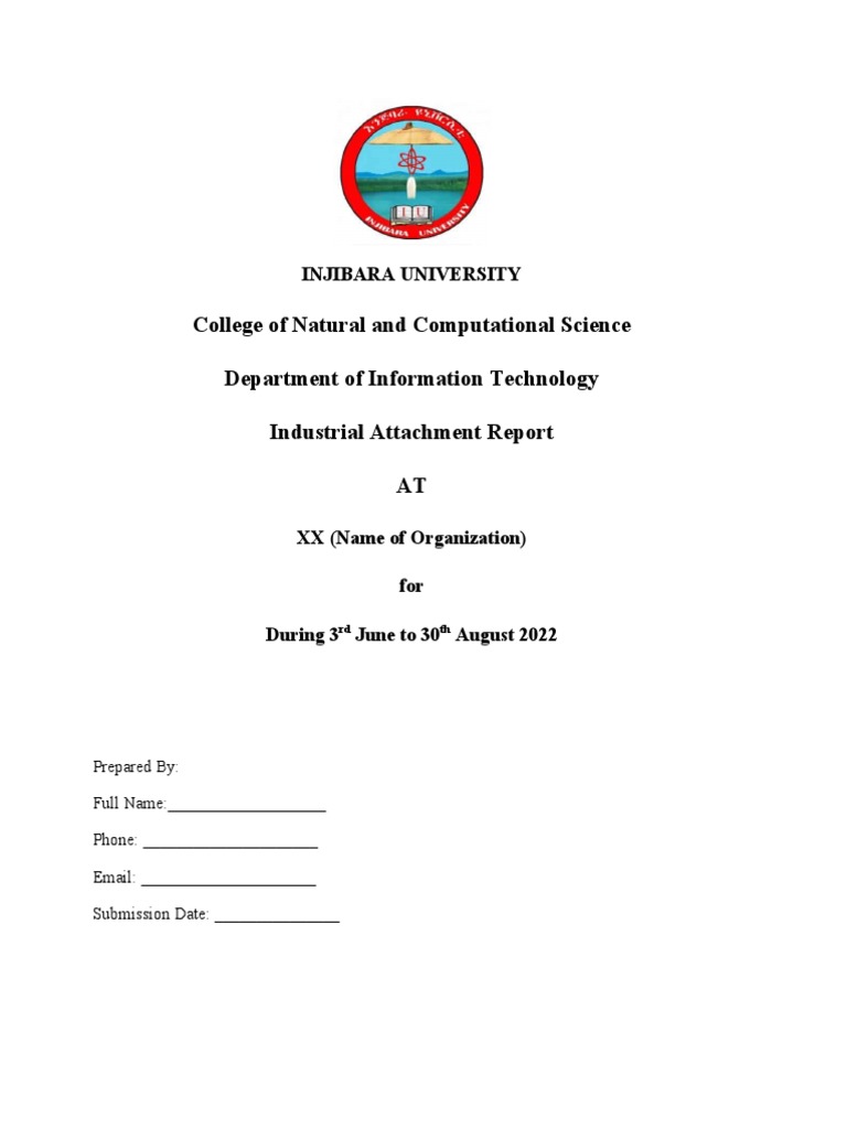 Internship format for report writng | PDF