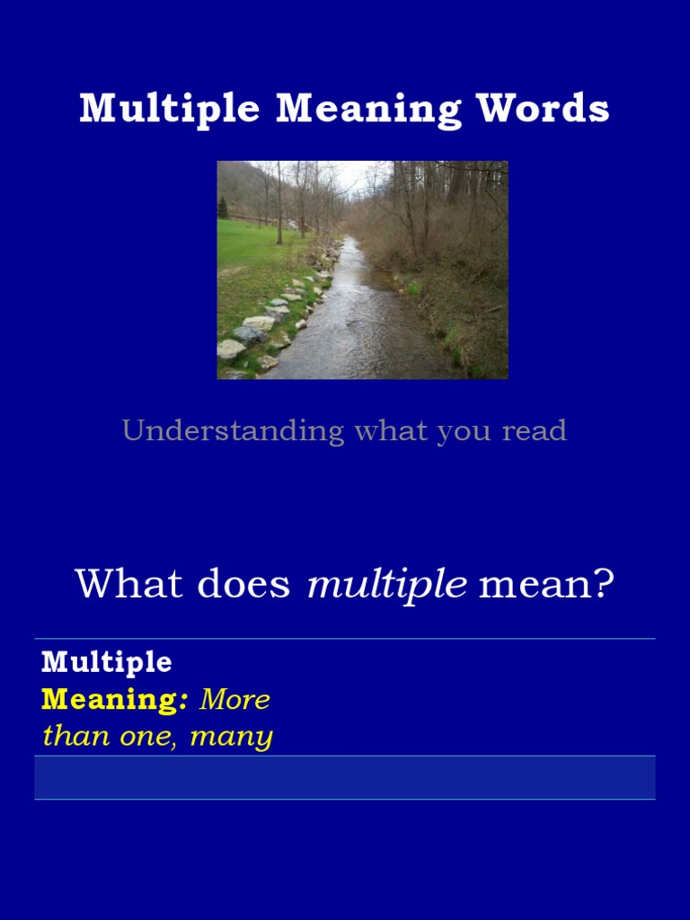 Understanding Multiple Meaning Words | PDF | Philosophy | Foreign ...