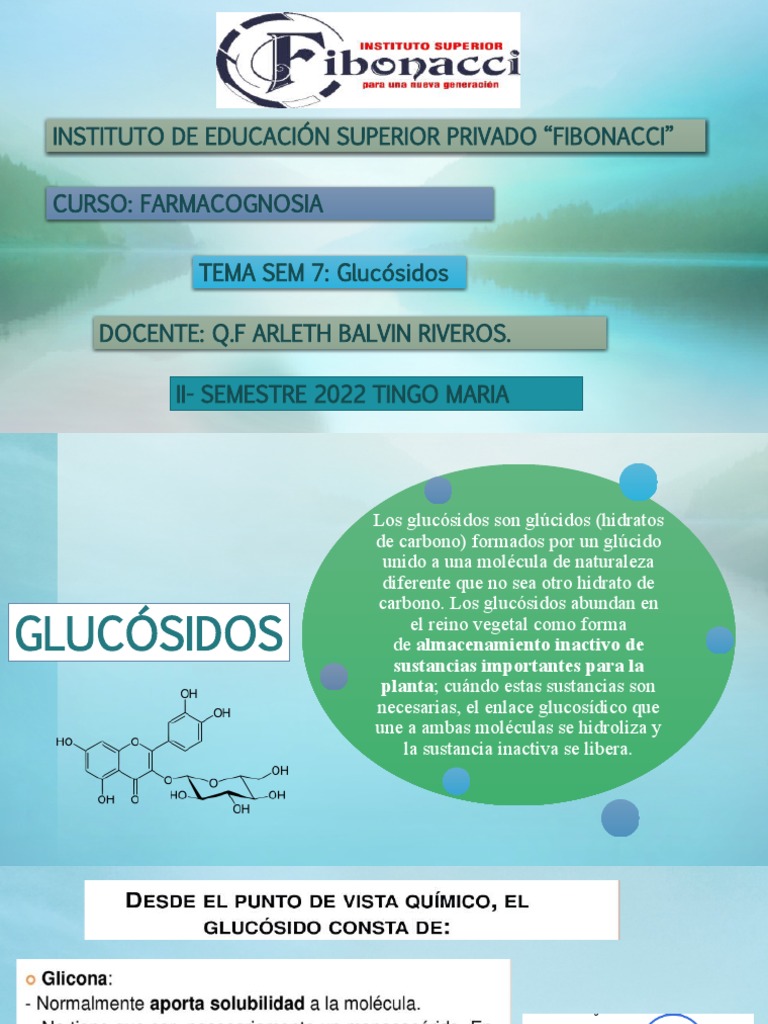 Sem 7° Glucosidos | PDF | Hogar, jardinería y bricolaje | Salud y bienestar