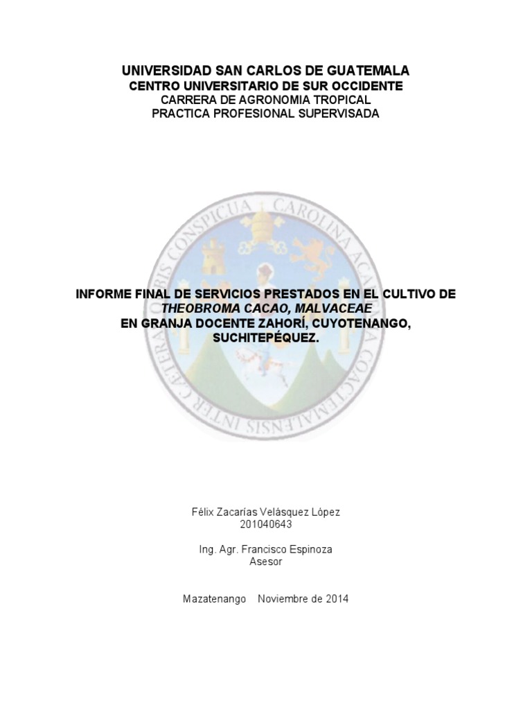 Informe Final de Granja Zahori DE CACAO C - 1 | PDF | Arboles | Clonación