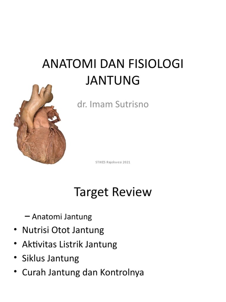 Anatomi Dan Fisiologi Jantung | PDF
