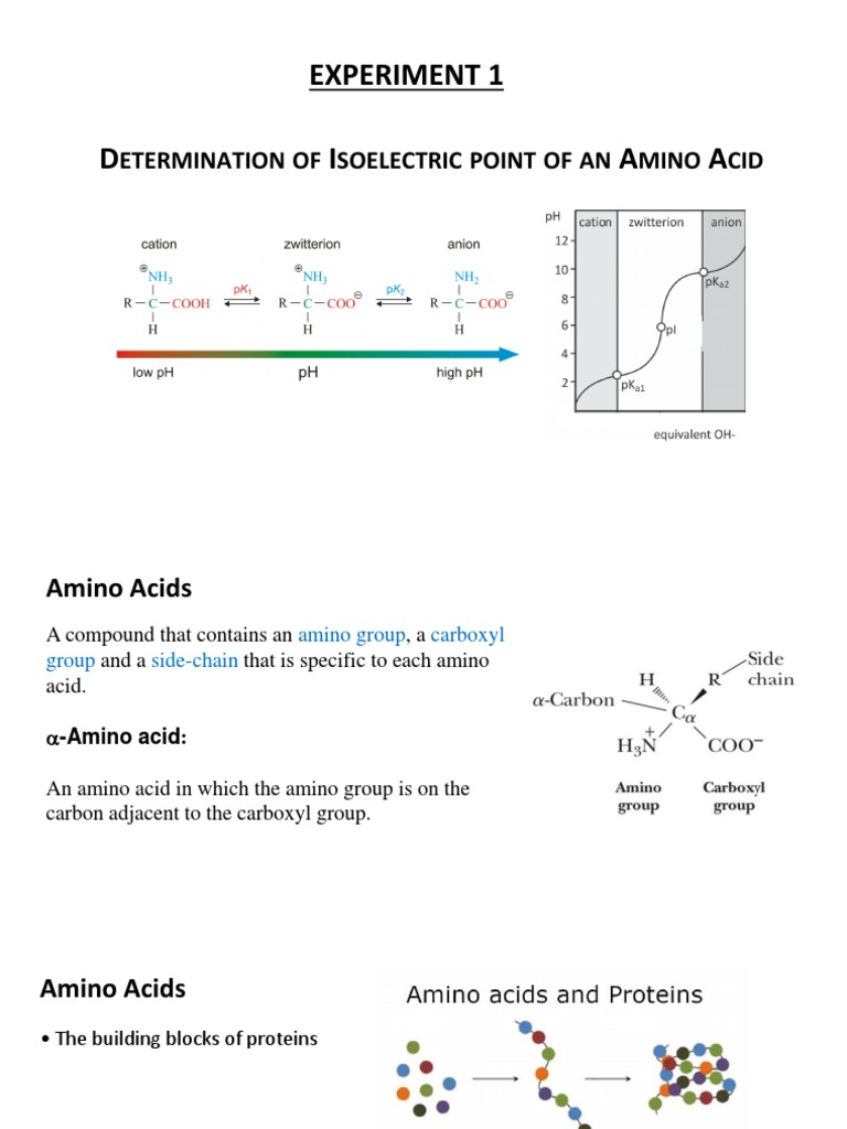 The isoelectric point (pI) of the amino acid is determined by titration ...