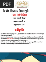 Class-10 - Hindi Project | PDF