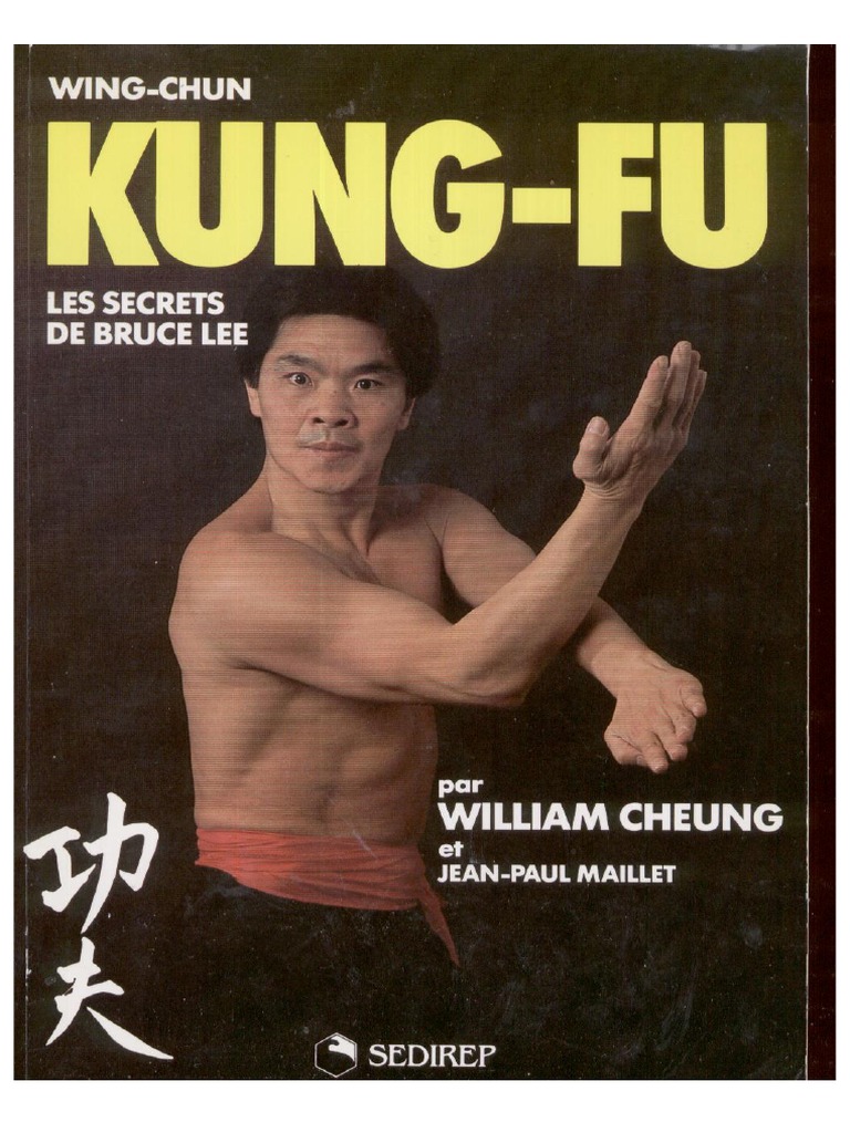 Wing Chun Kung Fu | PDF