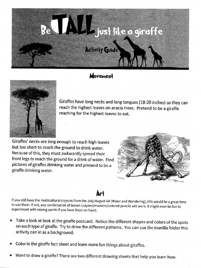 Giraffe Fact Sheet | PDF