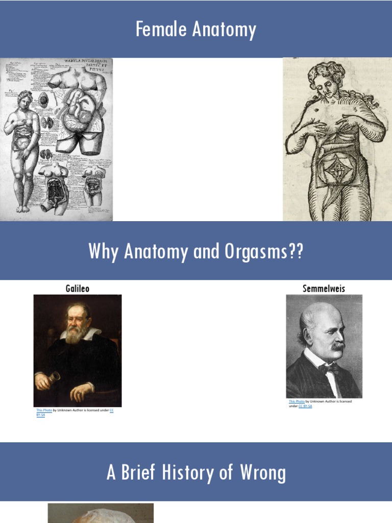 3-1 Female Anatomy - Full Screen | PDF | Labia | Human Sexuality