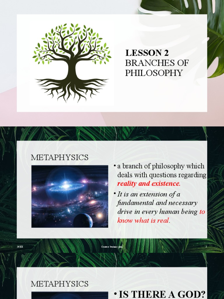 Overview of Philosophy Branches | PDF | Reason | Epistemology