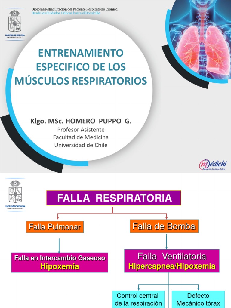 Entrenamiento Musculo | PDF | Respiración | Anatomía