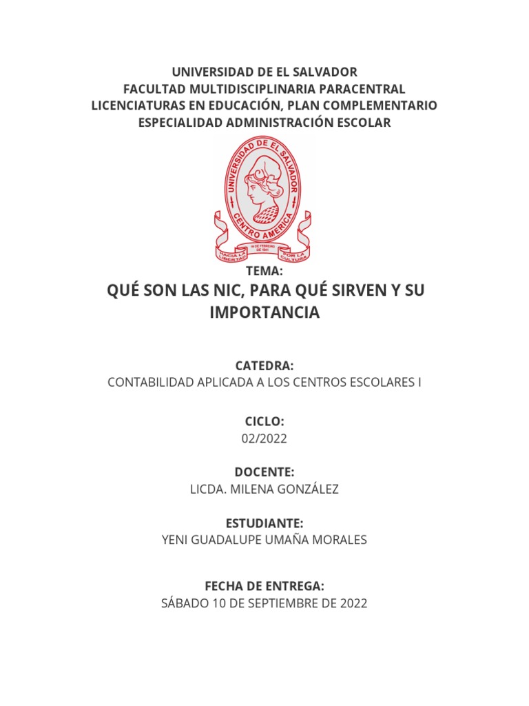 Las Nic Que Son y para Que Sirven | PDF | Contabilidad | Business