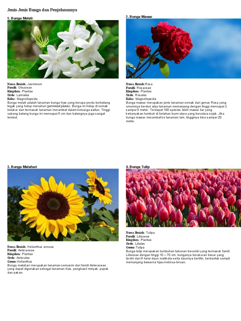 Jenis Bunga | PDF