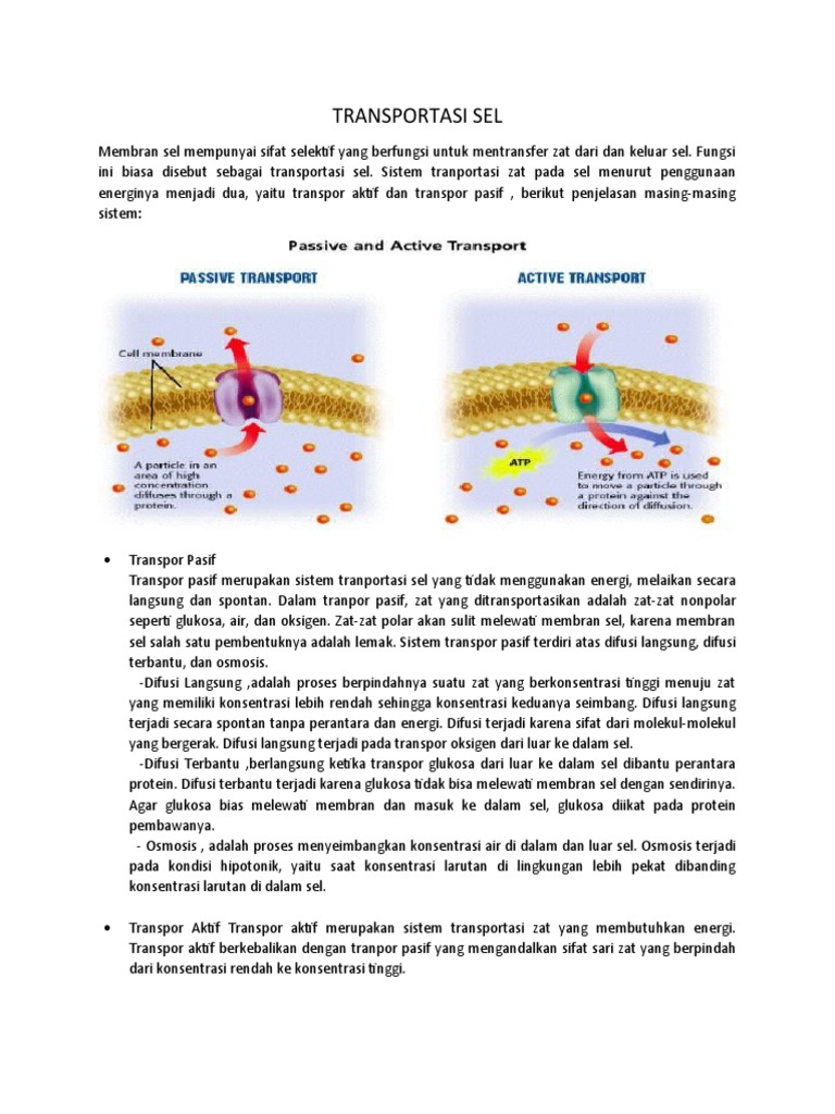 Transportasi Sel | PDF