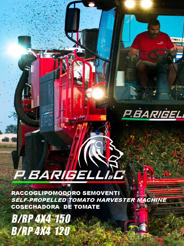 P Barigelli CBRP | PDF