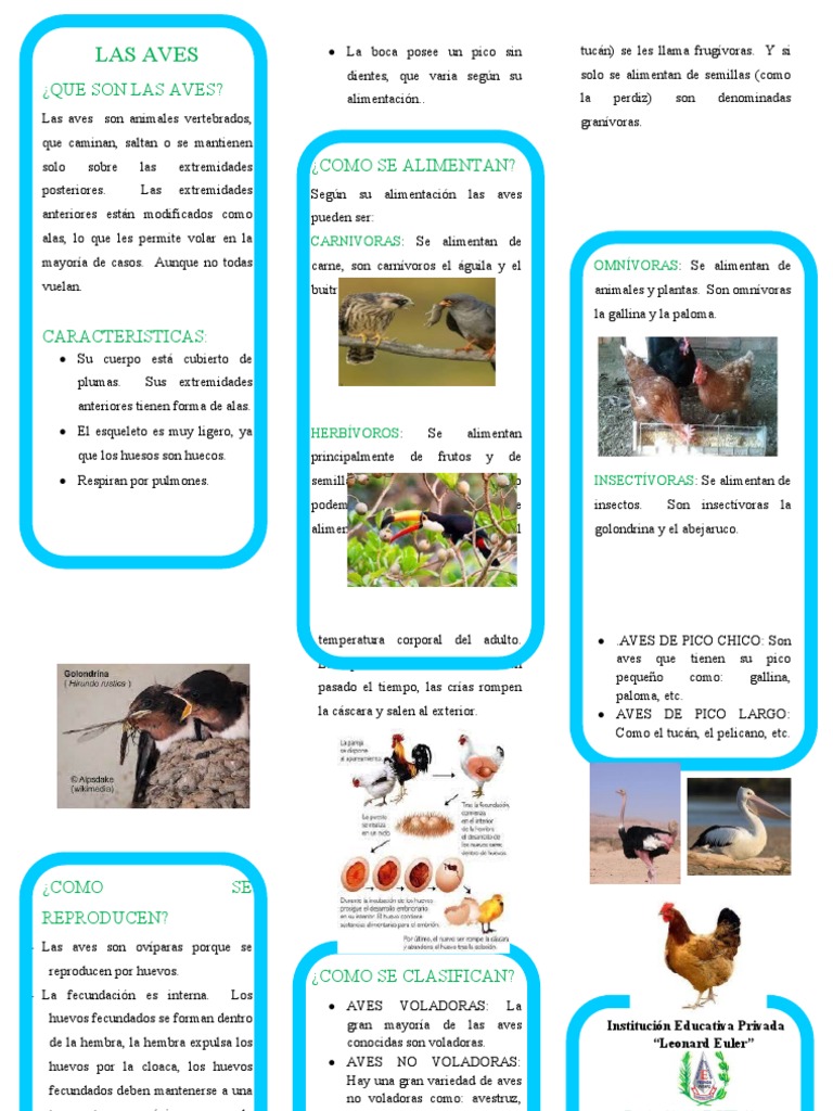Las Aves | PDF | Aves | Pollo